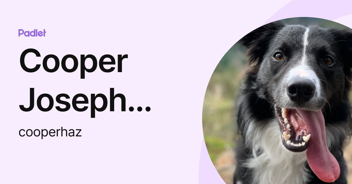Cooper Joseph Haz (cooperhaz) profile | Padlet