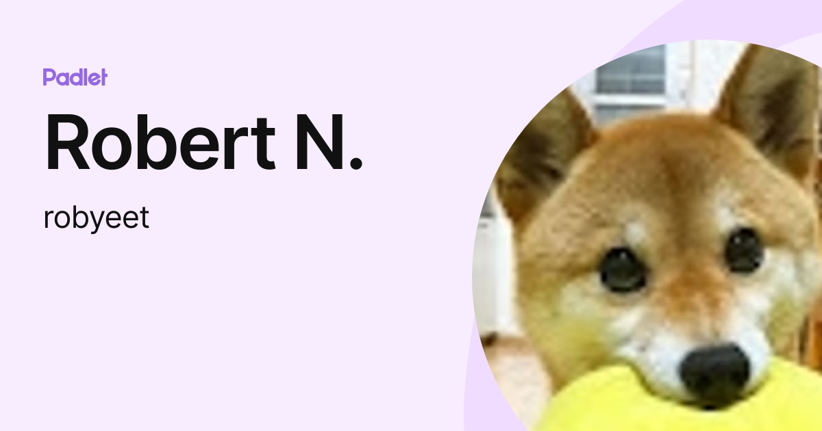 Robert N. (robyeet) profile | Padlet