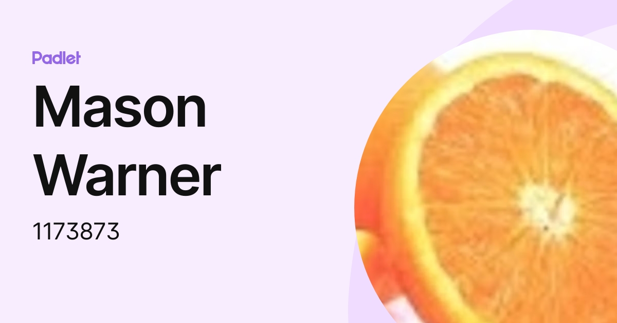 Mason Warner (1173873) profile | Padlet