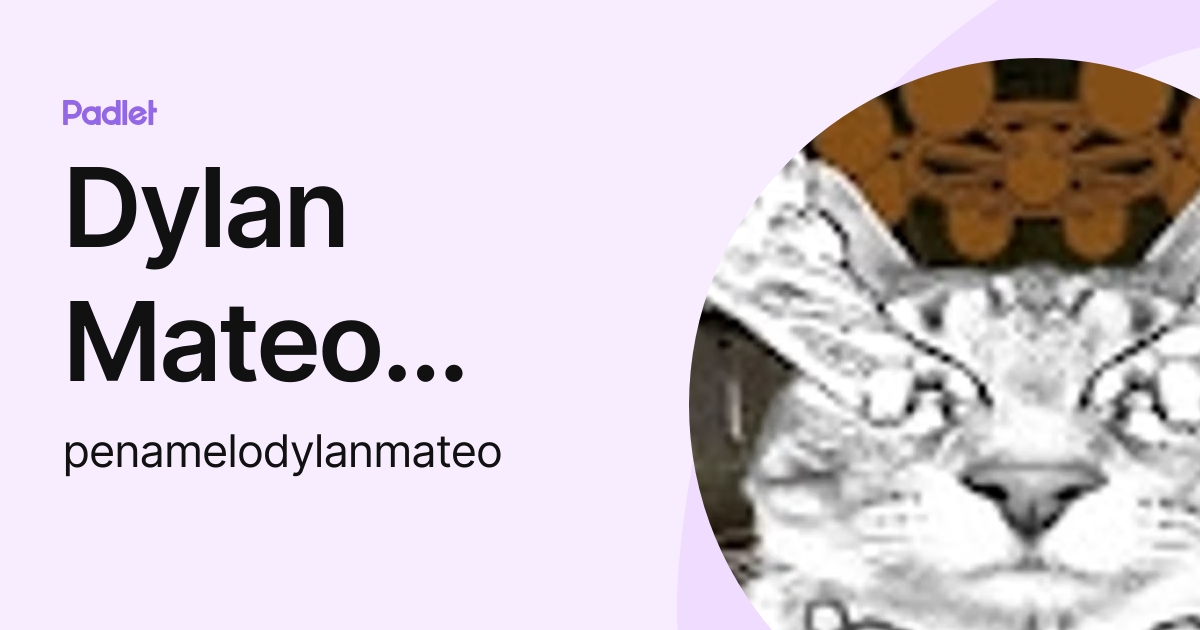 Dylan Mateo Peña Melo (penamelodylanmateo) profile | Padlet
