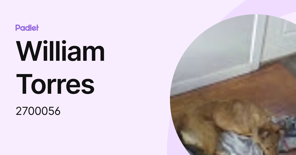 William Torres (2700056) profile | Padlet