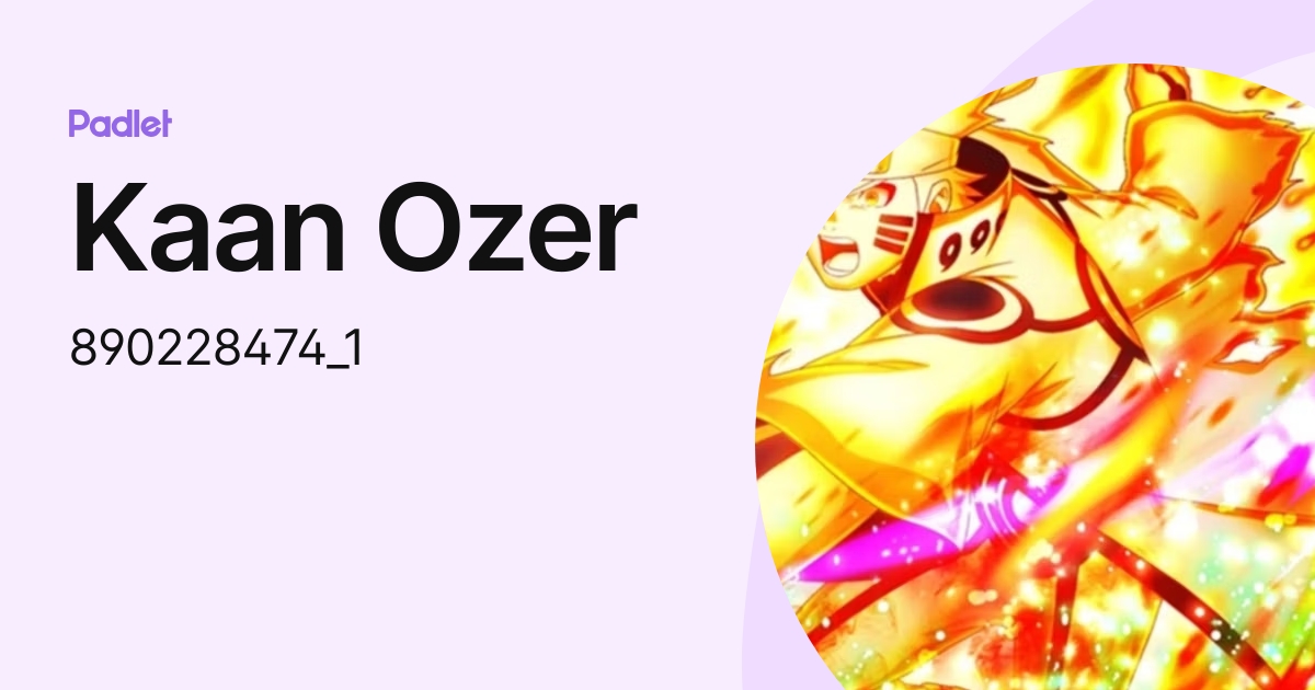 Kaan Ozer (890228474) profile | Padlet