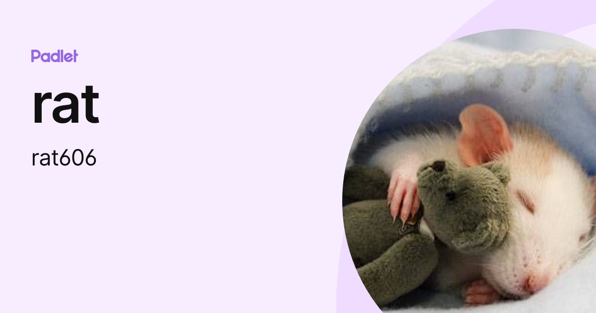 rat (rat606) profile | Padlet