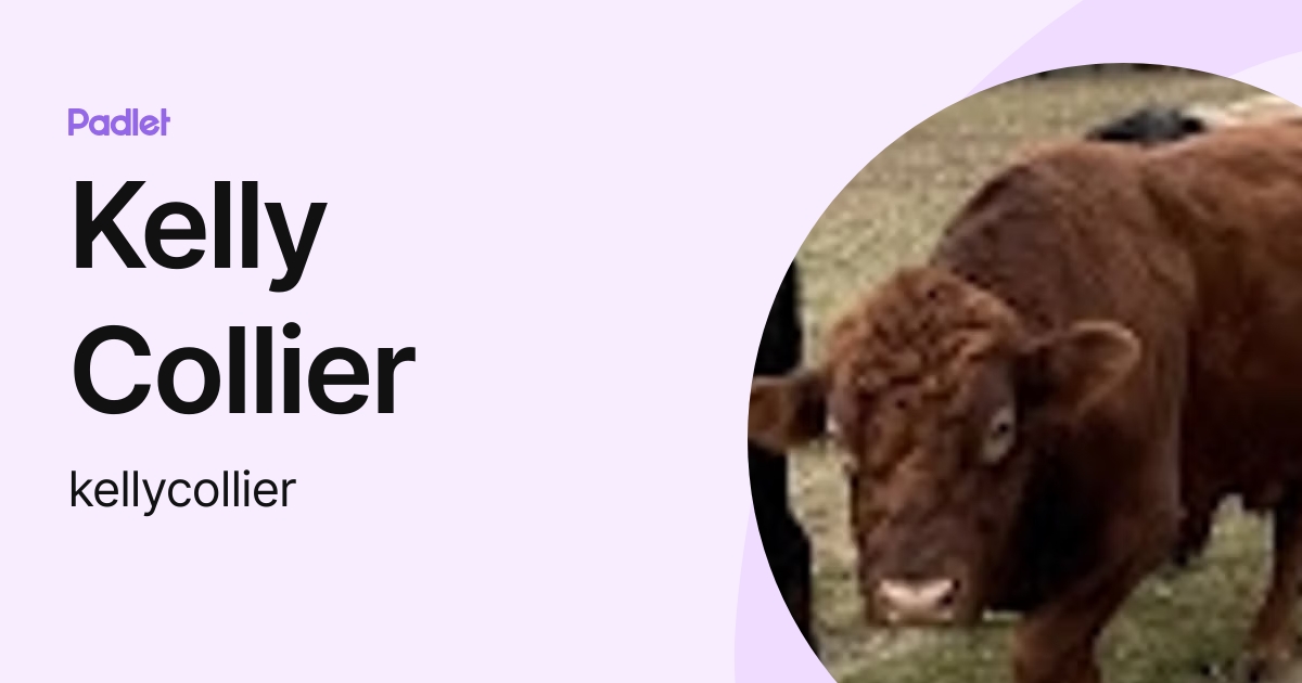 Kelly Collier (kellycollier) profile | Padlet