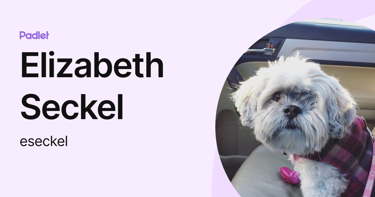 Elizabeth Seckel (eseckel) profile | Padlet