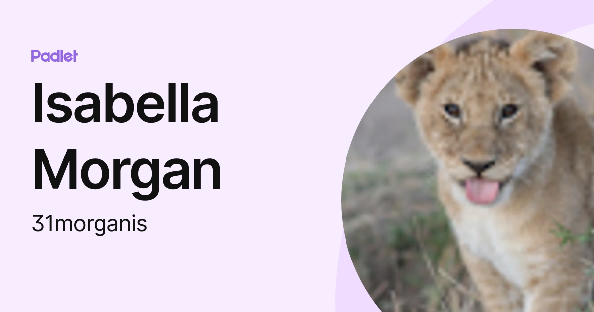 Isabella Morgan (31morganis) profile | Padlet