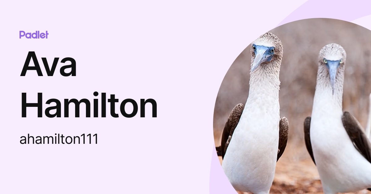 Ava Hamilton (ahamilton111) profile | Padlet