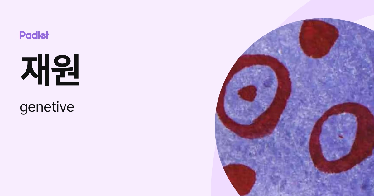 재원 (genetive) profile | Padlet