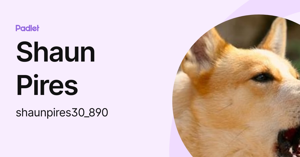 Shaun Pires (shaunpires30) profile | Padlet