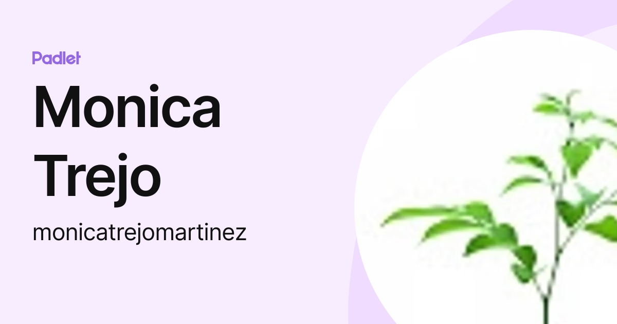 Monica Trejo (monicatrejomartinez) profile | Padlet