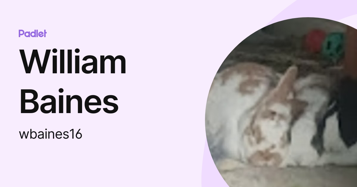 William Baines (wbaines16) profile | Padlet