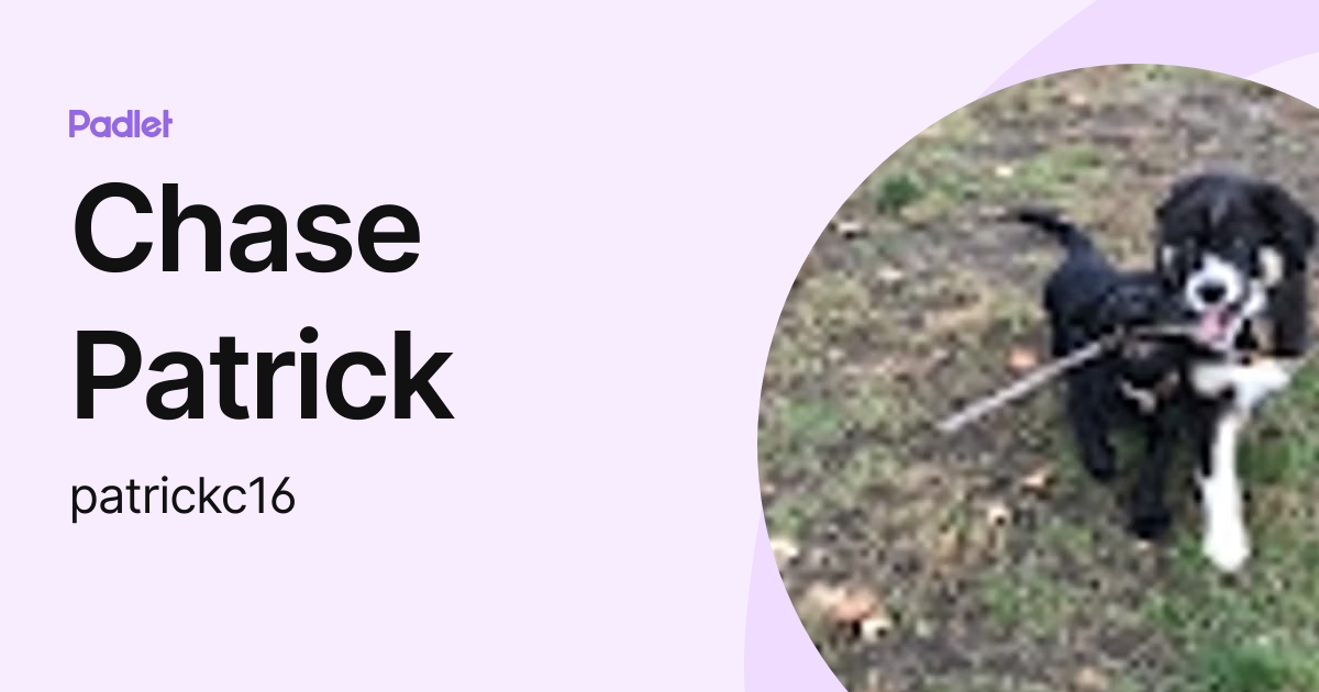 Chase Patrick (patrickc16) profile | Padlet