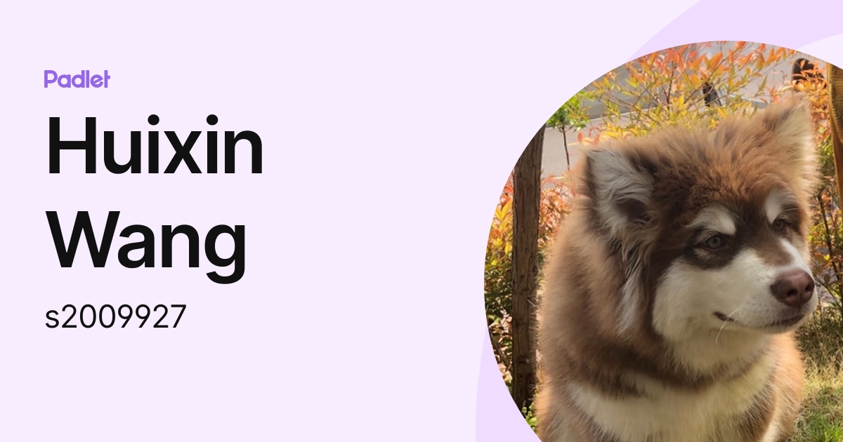 Huixin Wang (s2009927) profile | Padlet