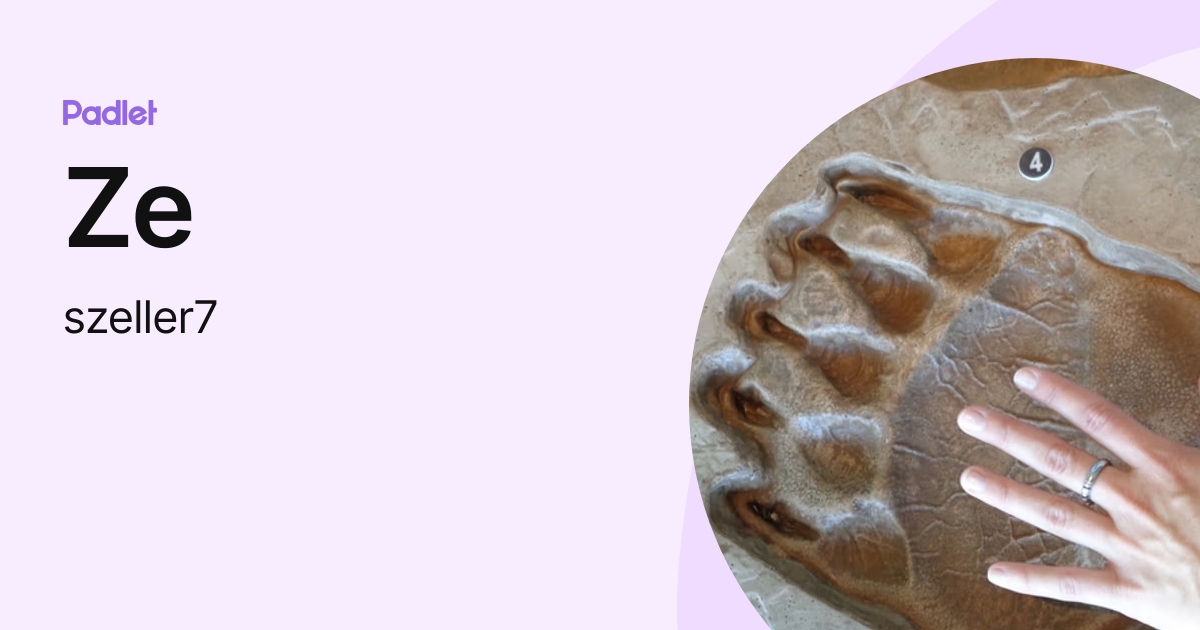 Ze (szeller7) profile | Padlet