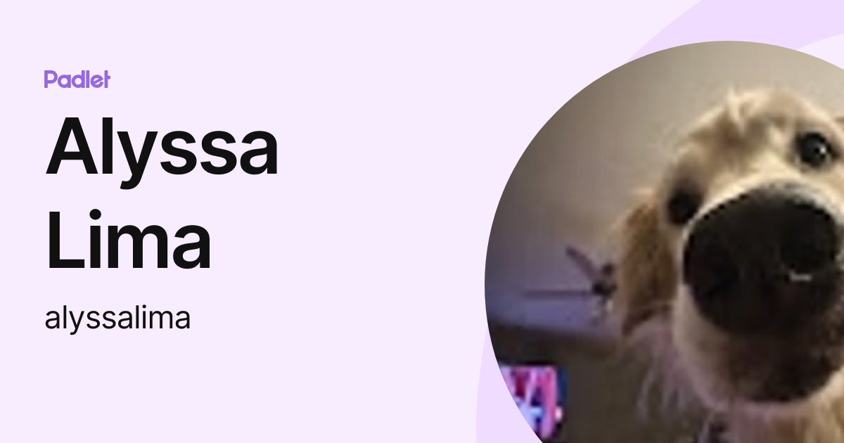 Alyssa Lima (alyssalima) profile | Padlet