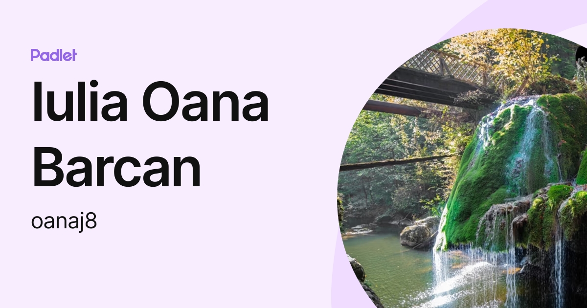Iulia Oana Barcan (oanaj8) profile | Padlet