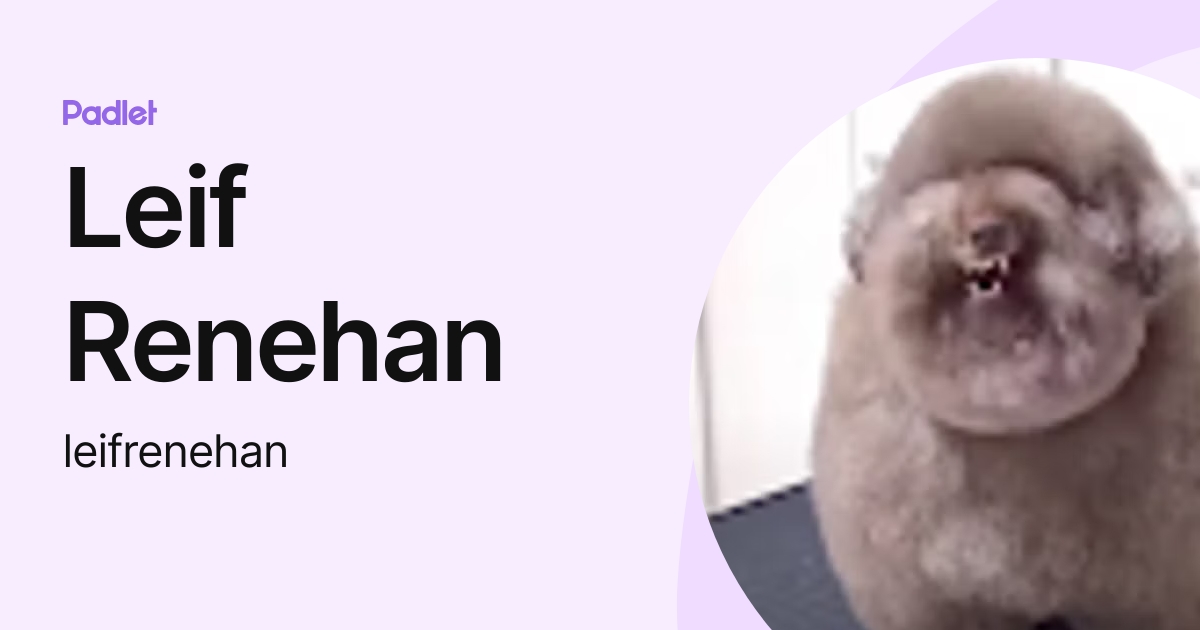 Leif Renehan (leifrenehan) profile | Padlet
