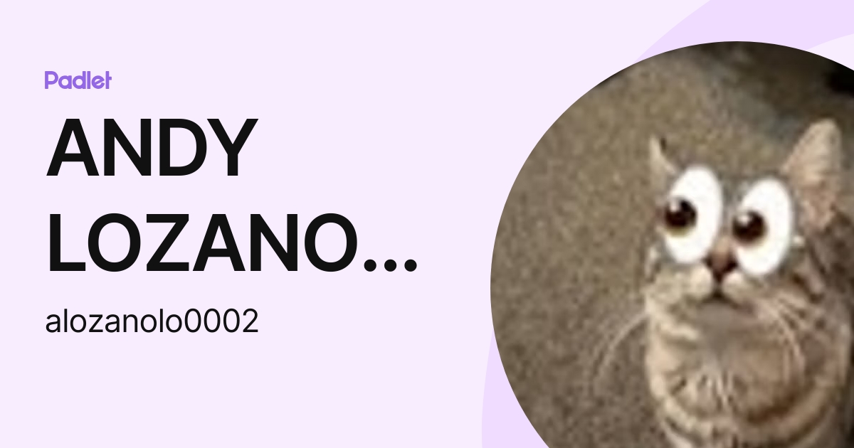 ANDY LOZANO-LOPEZ (alozanolo0002) profile | Padlet