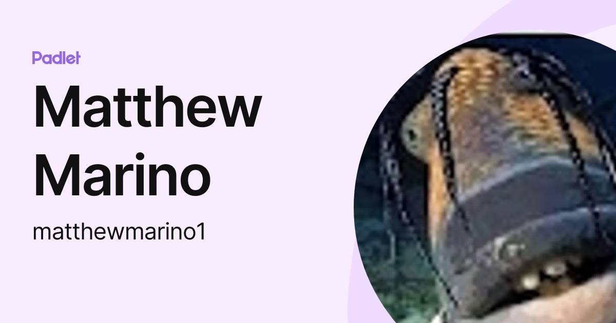 Matthew Marino (matthewmarino1) profile | Padlet