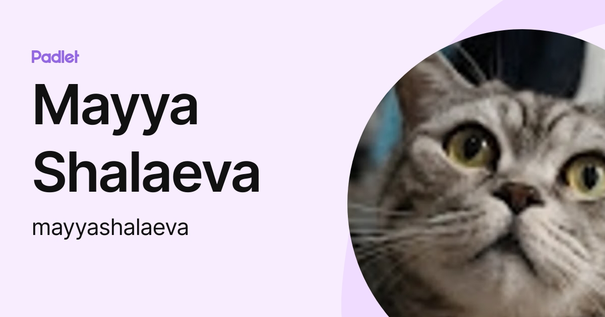Mayya Shalaeva (mayyashalaeva) profile | Padlet