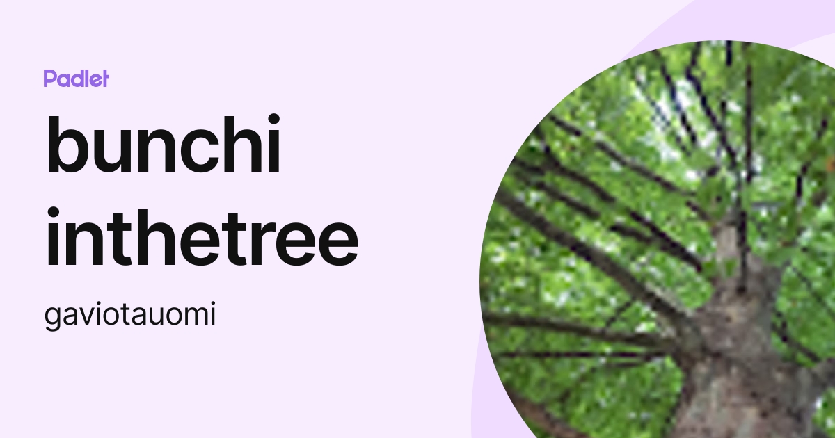 bunchi inthetree (gaviotauomi) profile | Padlet