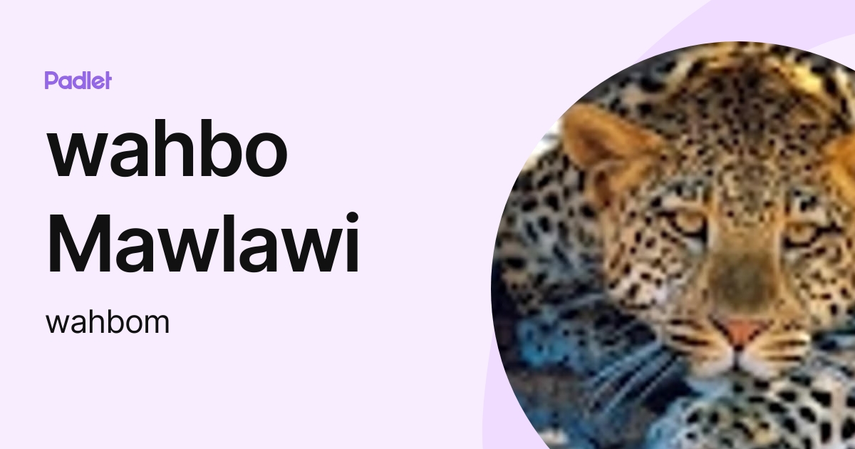 wahbo Mawlawi (wahbom) profile | Padlet