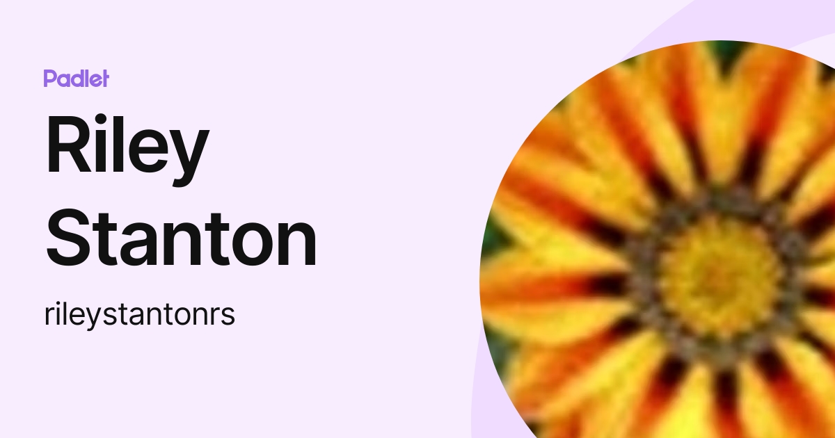Riley Stanton (rileystantonrs) profile | Padlet