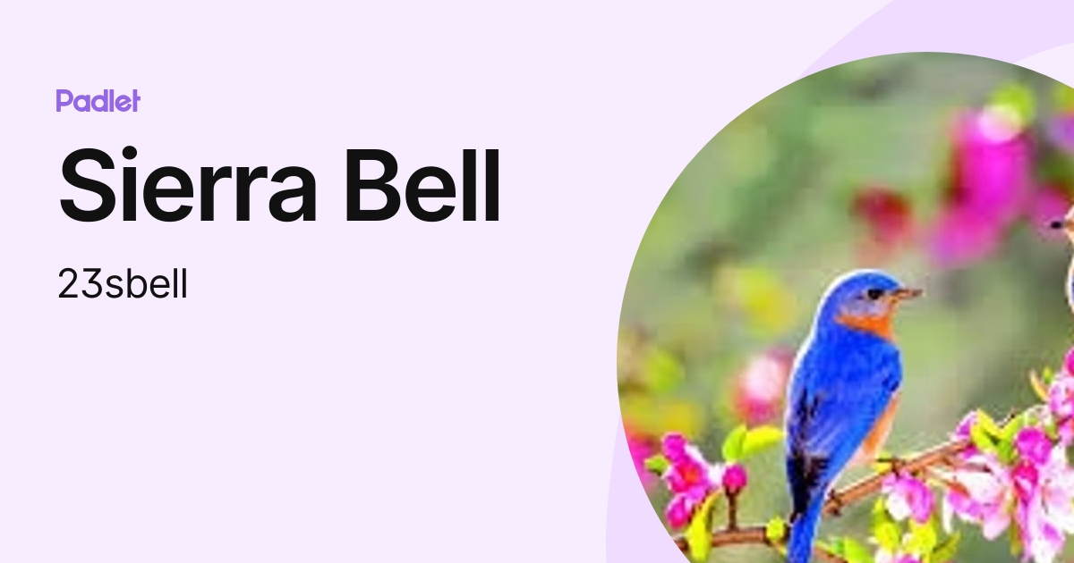 Sierra Bell (23sbell) profile | Padlet