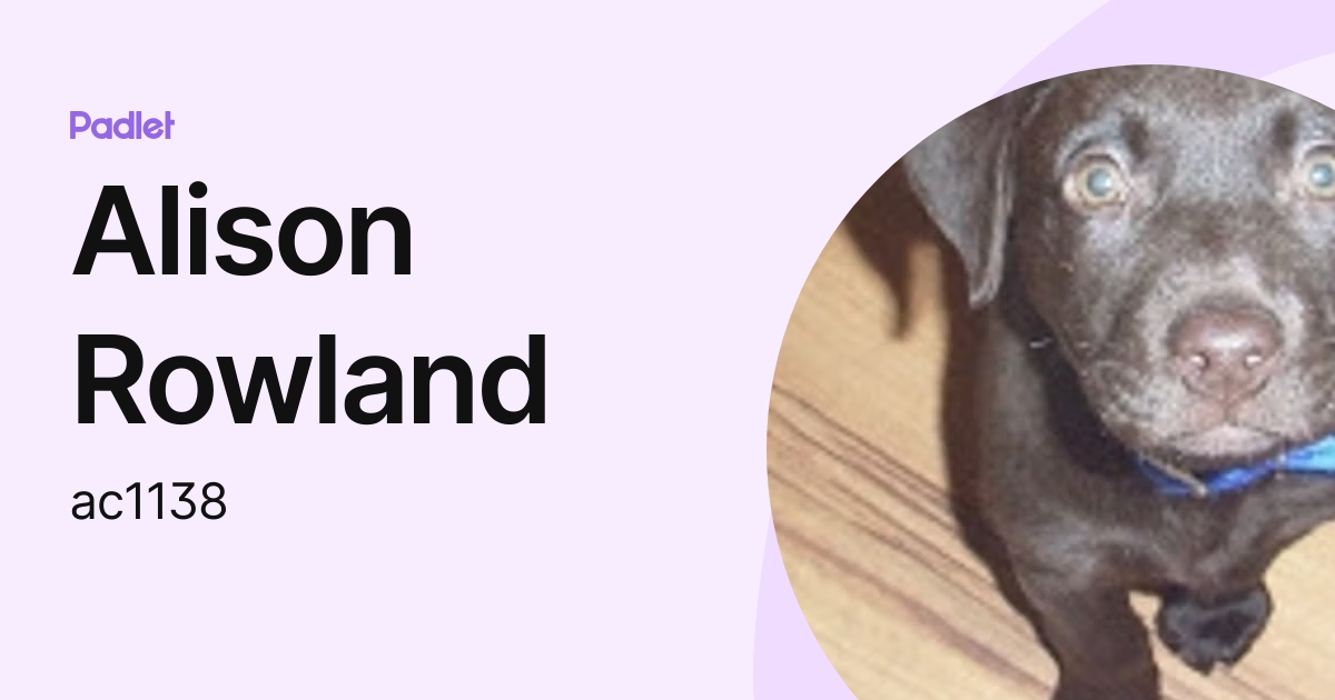 Alison Rowland (ac1138) profile | Padlet