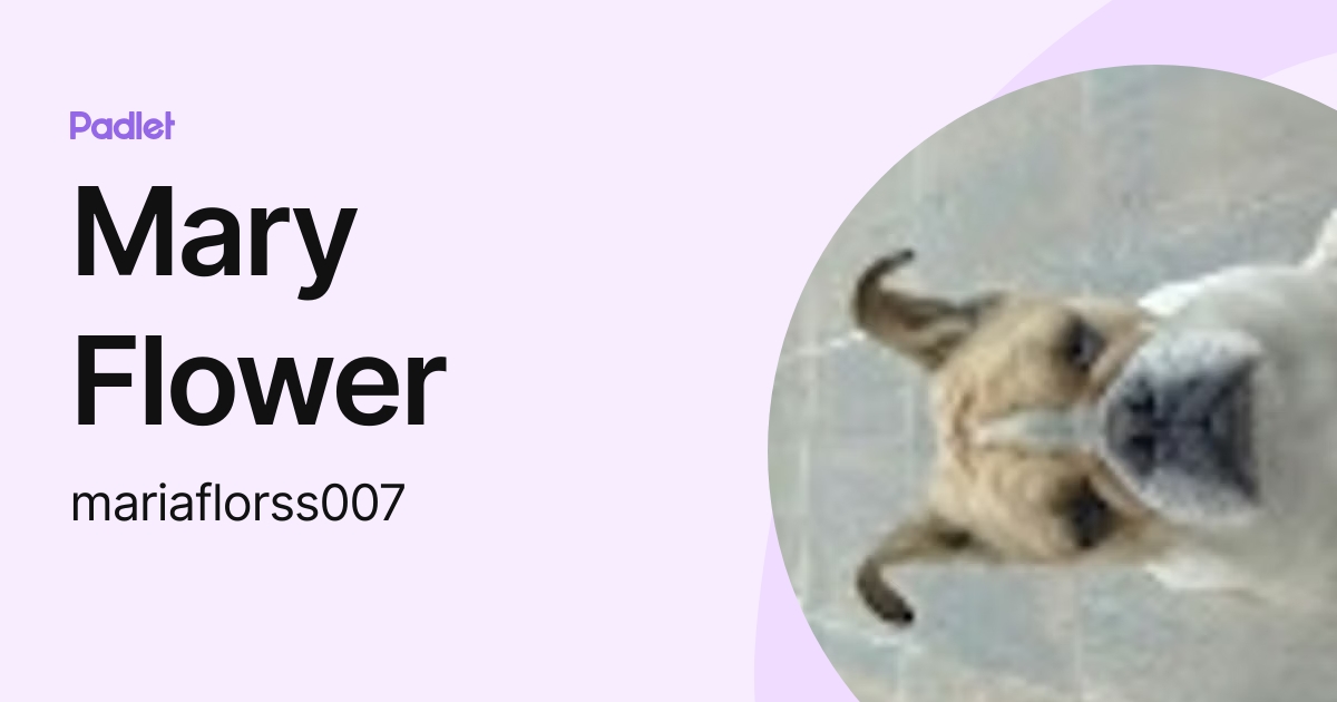 Mary Flower (mariaflorss007) profile | Padlet