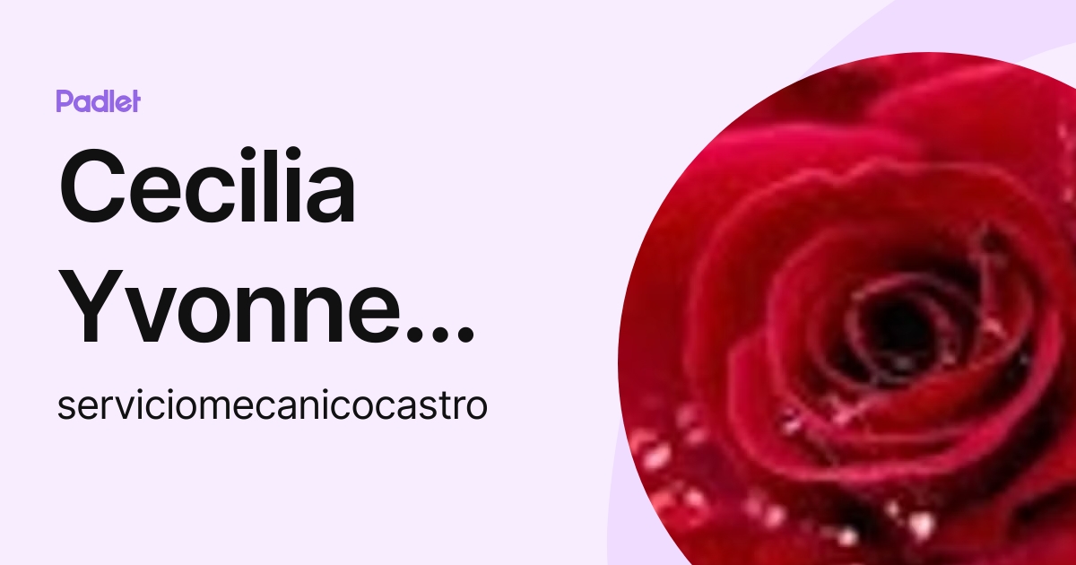 Cecilia Yvonne Castro (serviciomecanicocastro) profile | Padlet