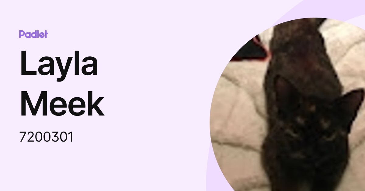 Layla Meek (7200301) profile | Padlet