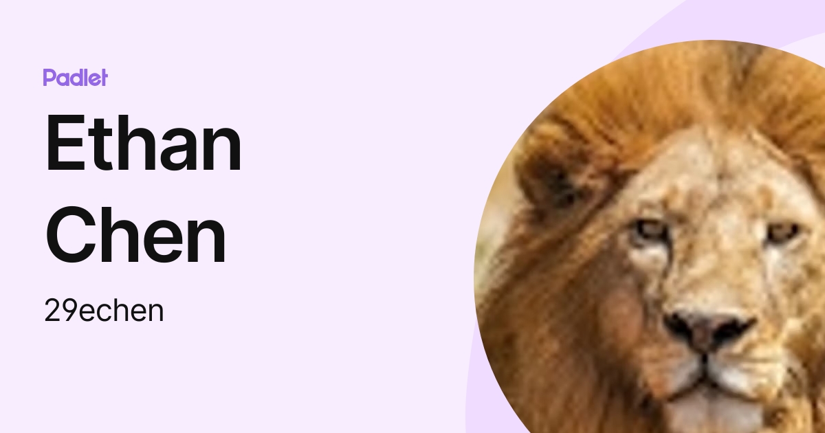 Ethan Chen (29echen) profile | Padlet