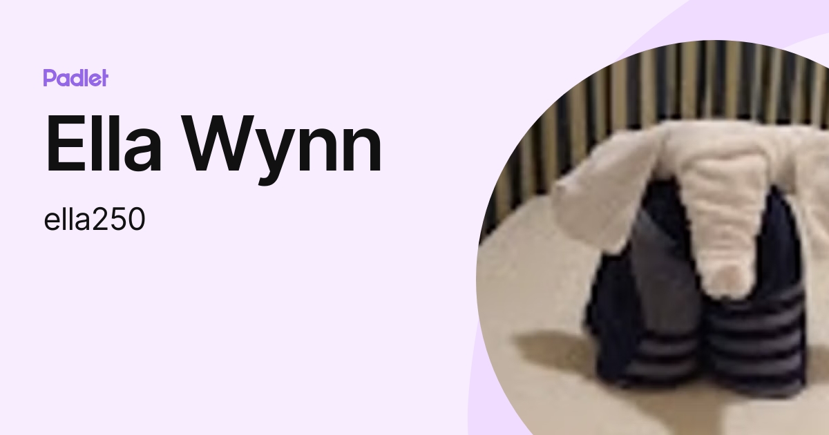 Ella Wynn (ella250) profile | Padlet