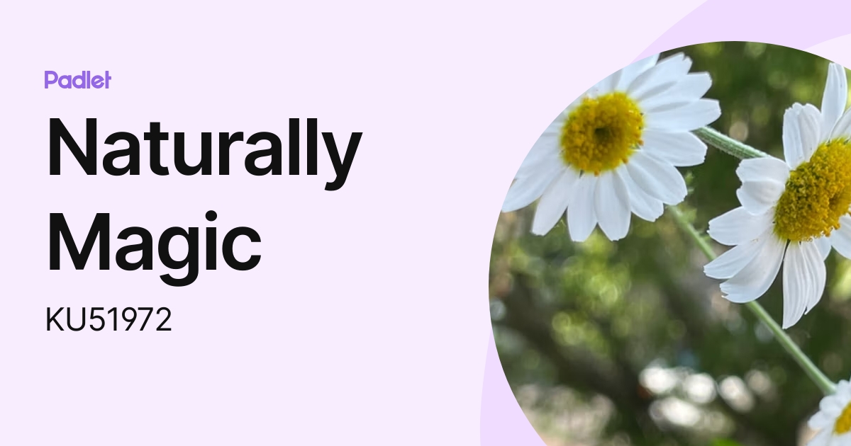 Naturally Magic Ku51972 Profile Padlet