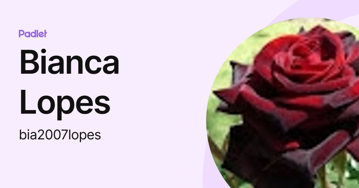 Bianca Lopes (bia2007lopes) profile | Padlet