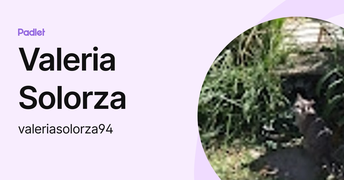 Valeria Solorza (valeriasolorza94) profile | Padlet
