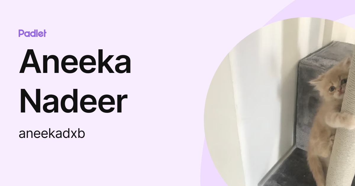 Aneeka Nadeer (aneekadxb) profile | Padlet