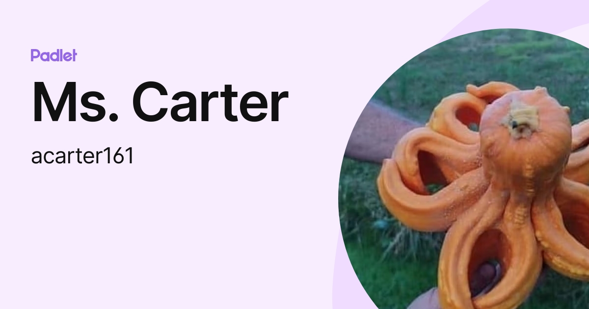 Ms. Carter (acarter161) profile | Padlet