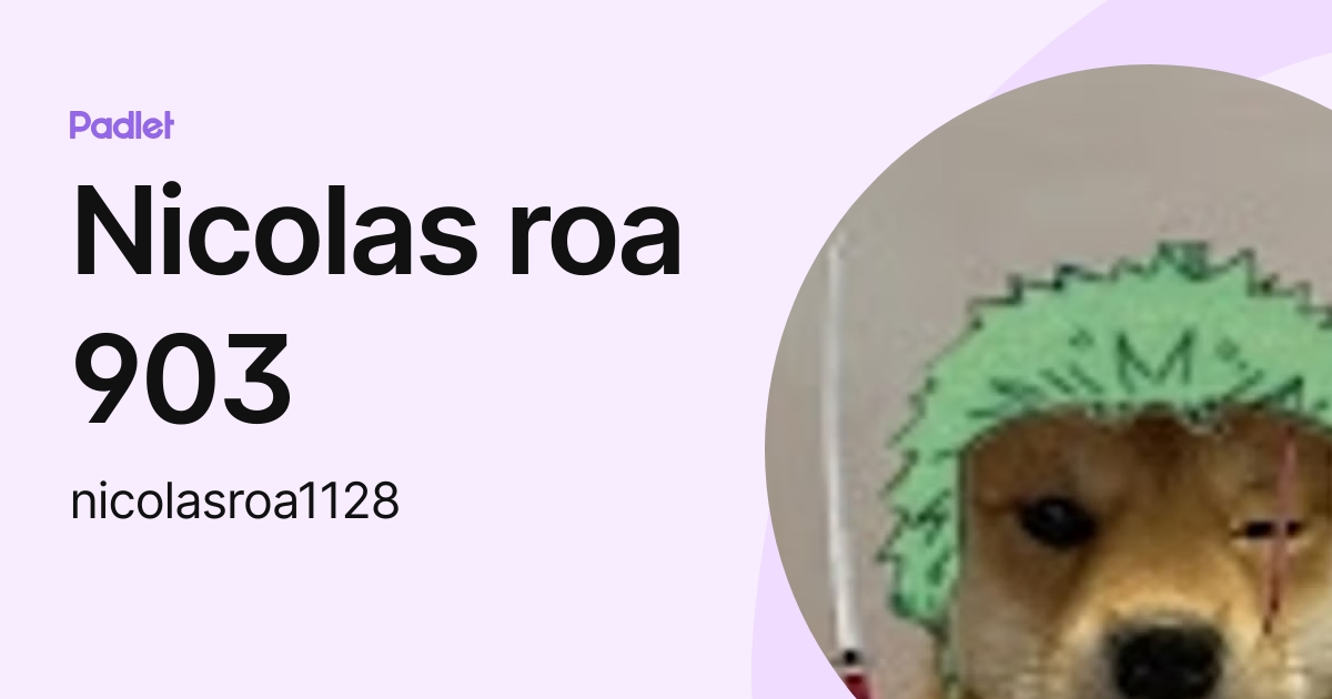 Nicolas roa 903 (nicolasroa1128) profile | Padlet