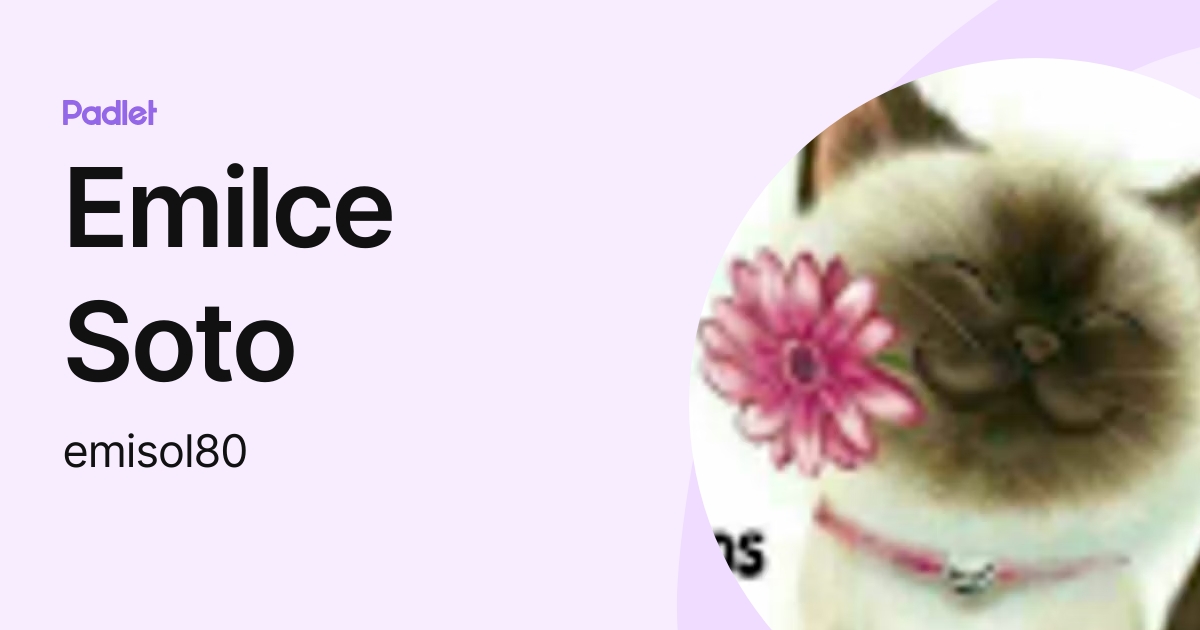 Emilce Soto (emisol80) profile | Padlet