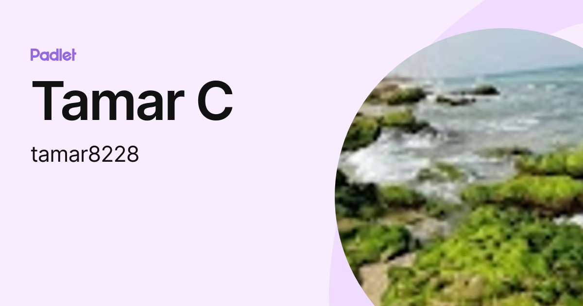 Tamar C (tamar8228) profile | Padlet