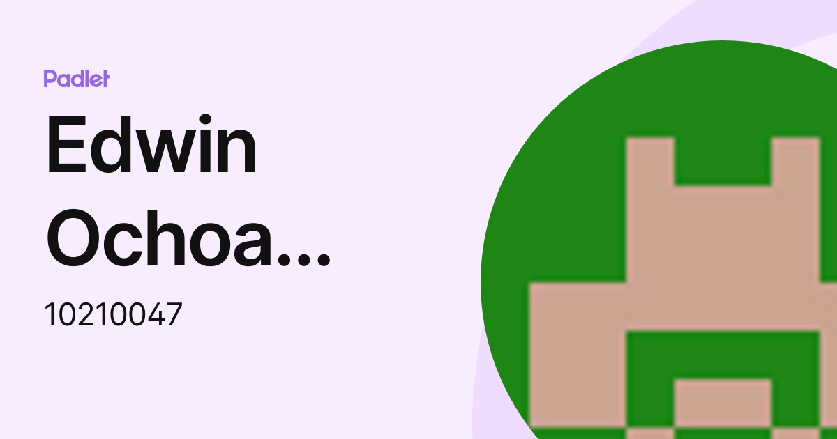 Edwin Ochoa Aldava (10210047) profile | Padlet