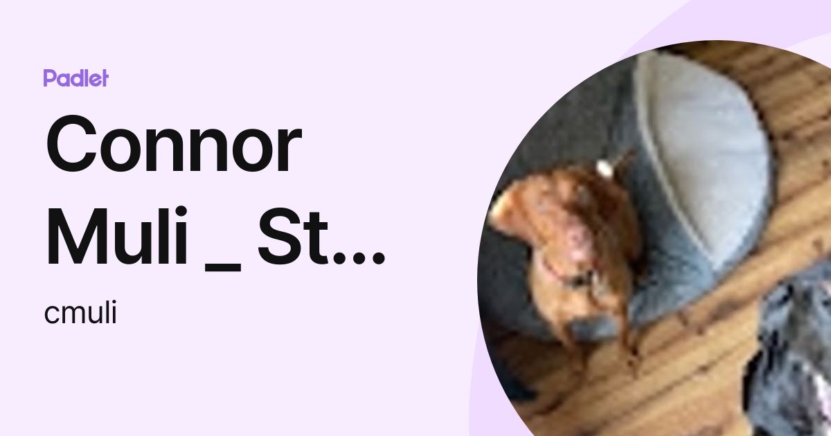 Connor Muli _ Staff - ApexFriendshipHS (cmuli) profile | Padlet