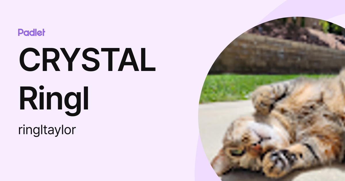 CRYSTAL Ringl (ringltaylor) profile | Padlet