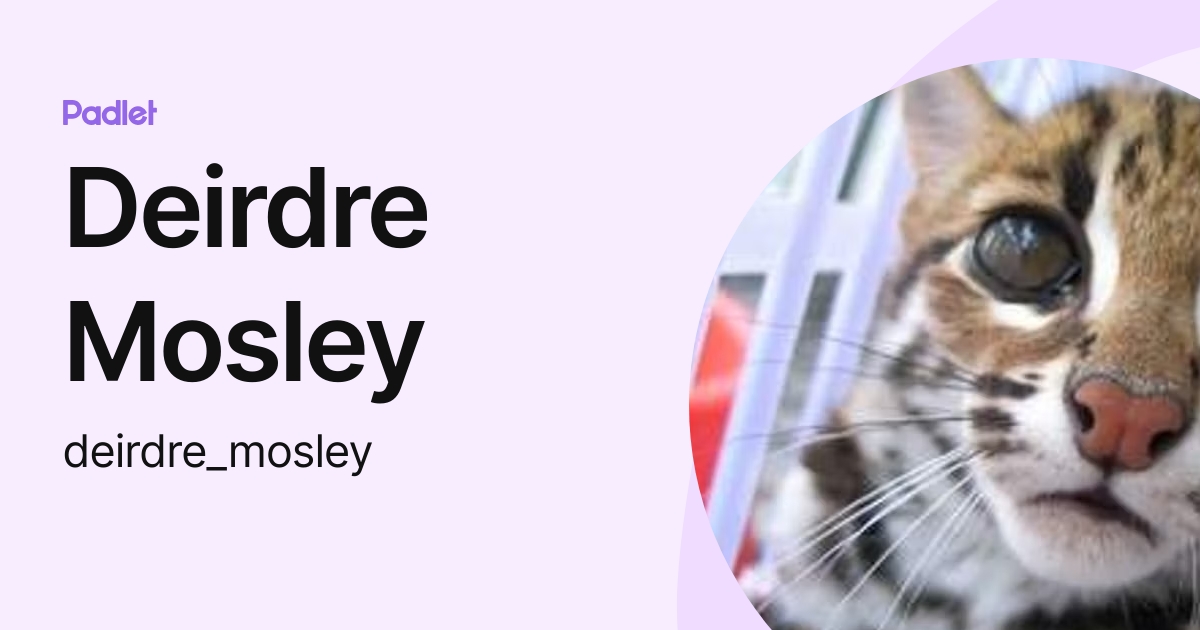 Deirdre Mosley (deirdre_mosley) profile | Padlet