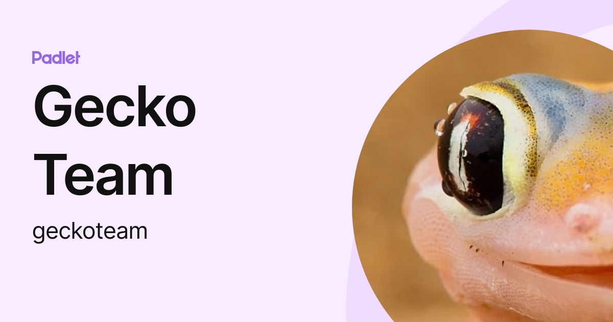 Gecko Team (geckoteam) profile | Padlet