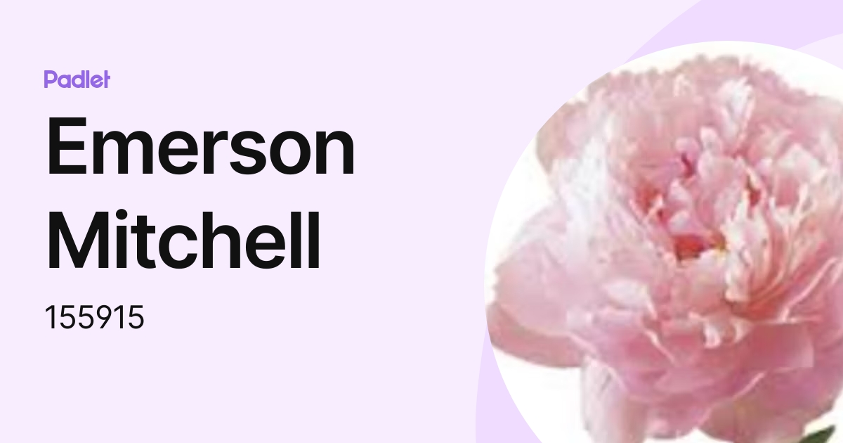 Emerson Mitchell (155915) profile | Padlet