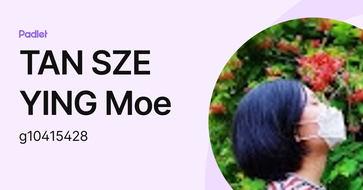 TAN SZE YING Moe (g10415428) profile | Padlet