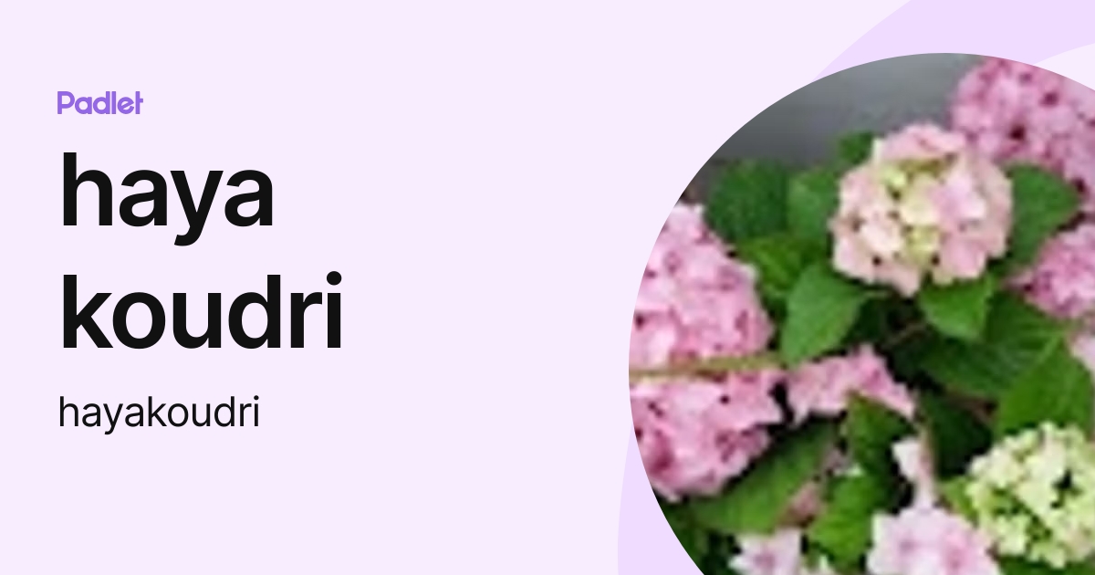 haya koudri (hayakoudri) profile | Padlet